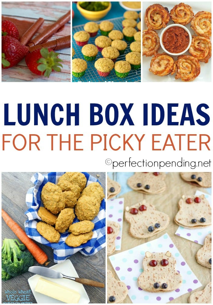 Kids Lunch Ideas For Picky Eaters