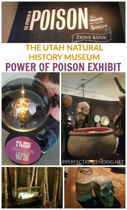 Why The Utah Natural History Museum Is The Ultimate Place to Explore ...