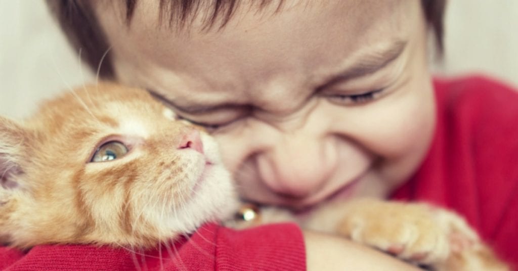 9 Ways The Cat And My Preschooler Are Soulmates - Perfection Pending